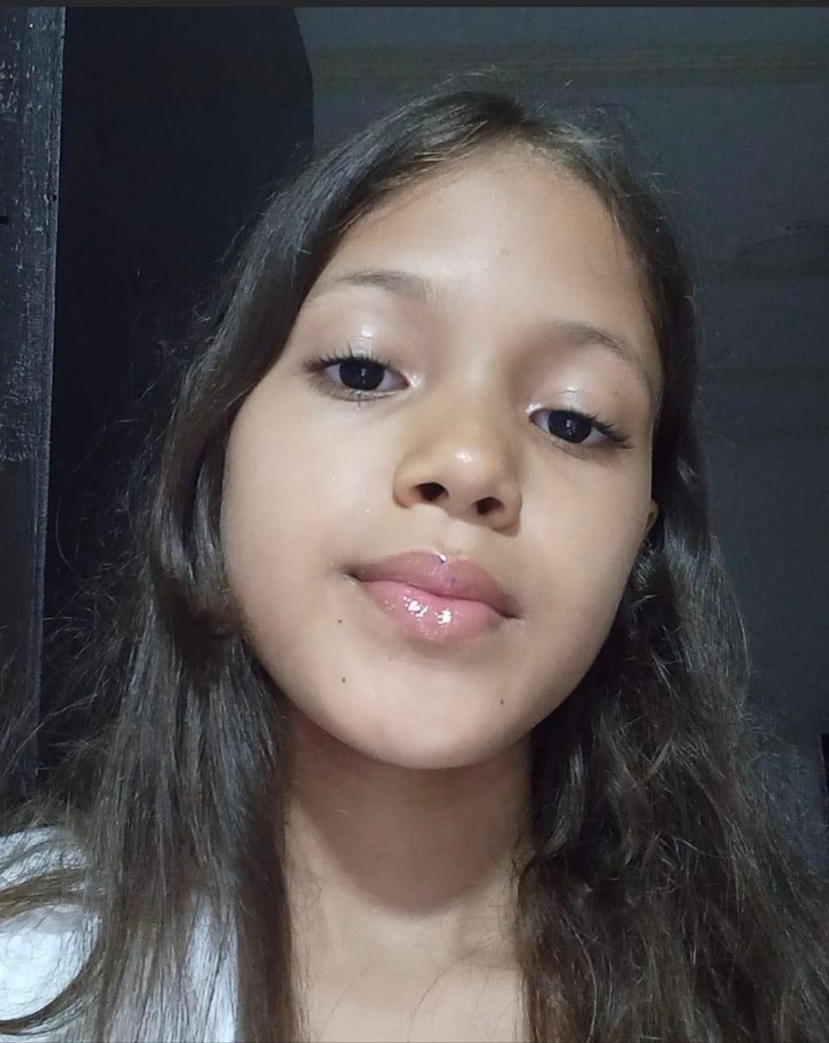 Un carro blanco y un comerciante serían las principales pistas detrás del paradero de Sofía, la ...