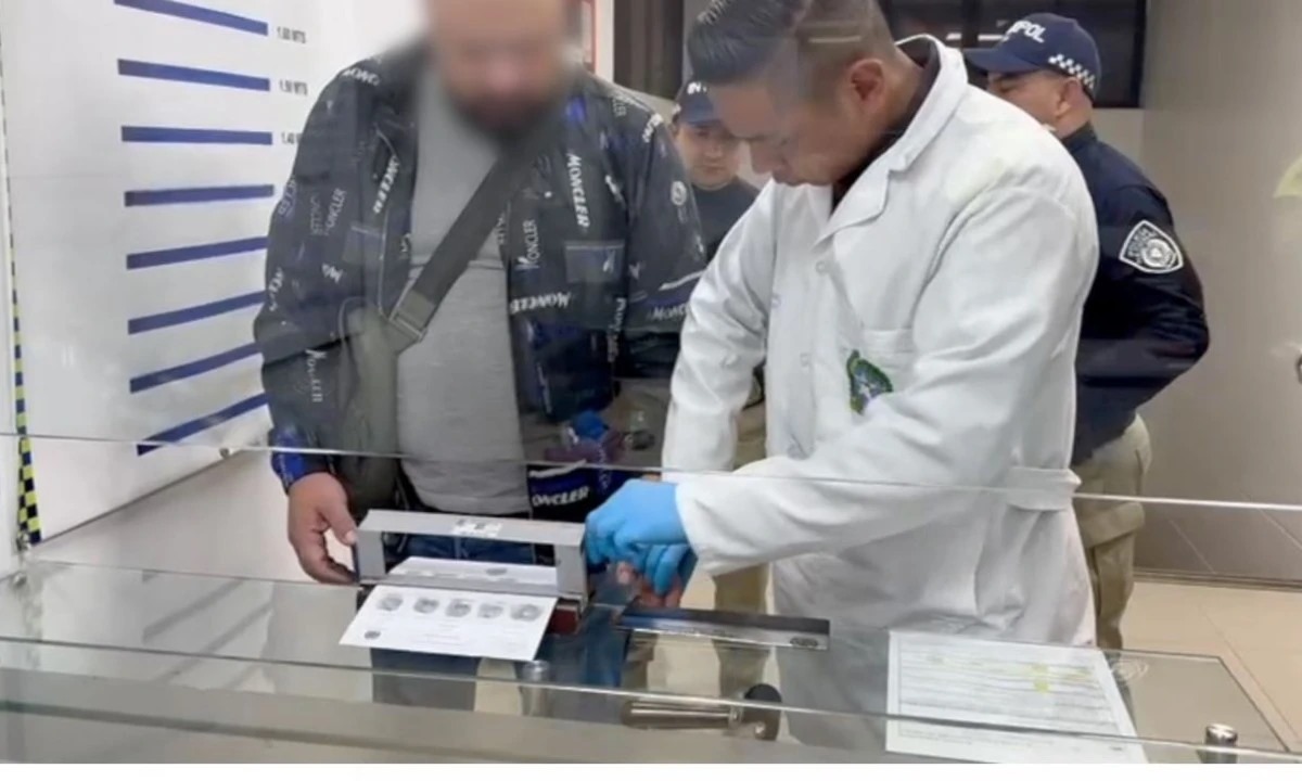 La empresa en Colombia y la modelo ligadas a poderoso narco lituano ...