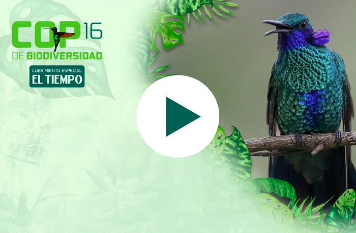 COP16: ¿Qué es, por qué es importante y qué le deja a Colombia la ...