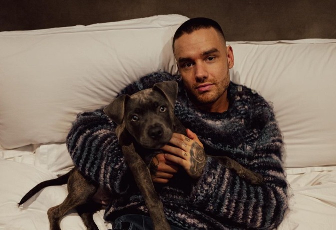 Investigan La Desaparición Del Reloj De Lujo De Liam Payne