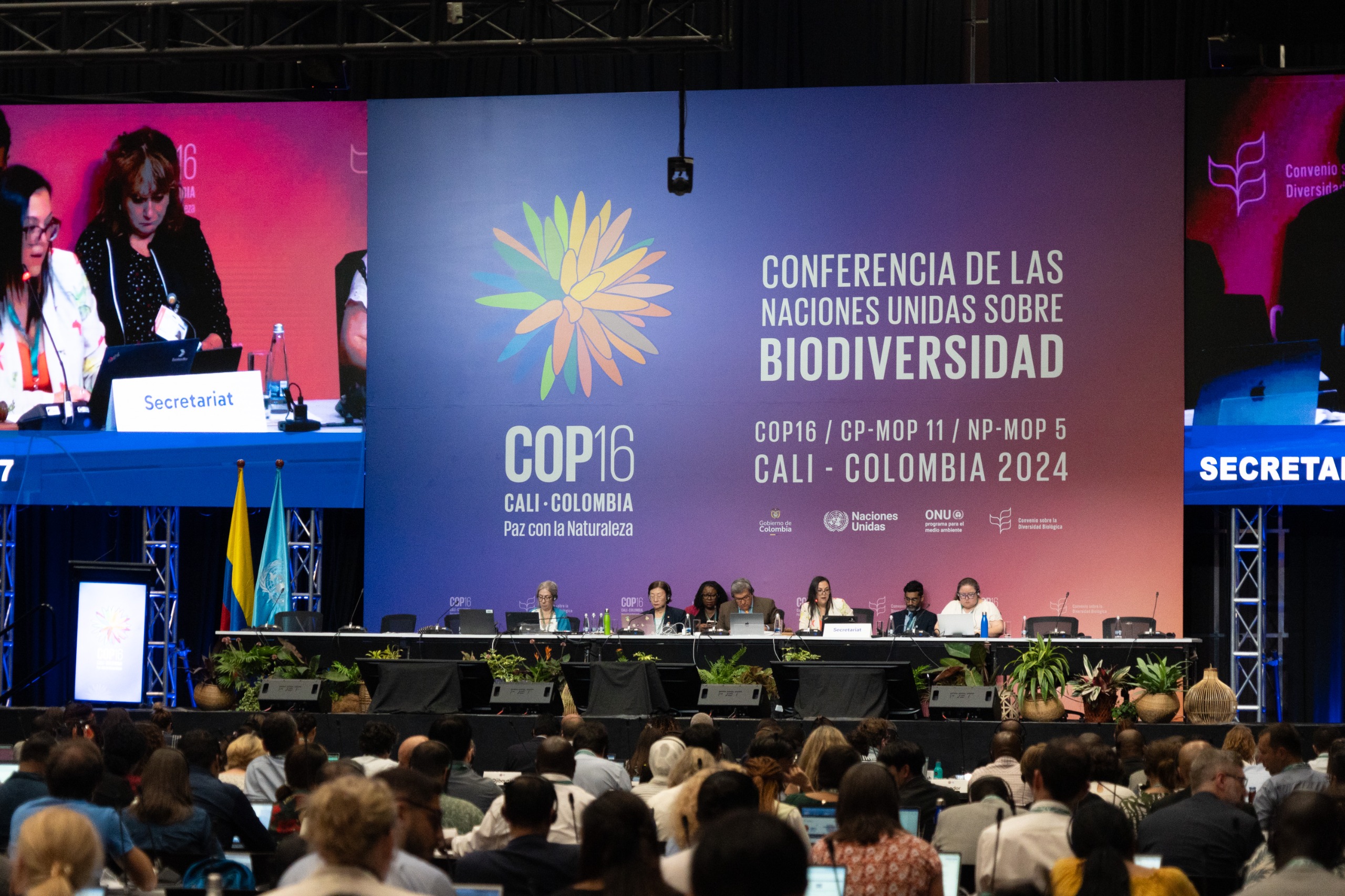 Programación de la COP16 hoy 27 de octubre | Así se vivió el séptimo ...