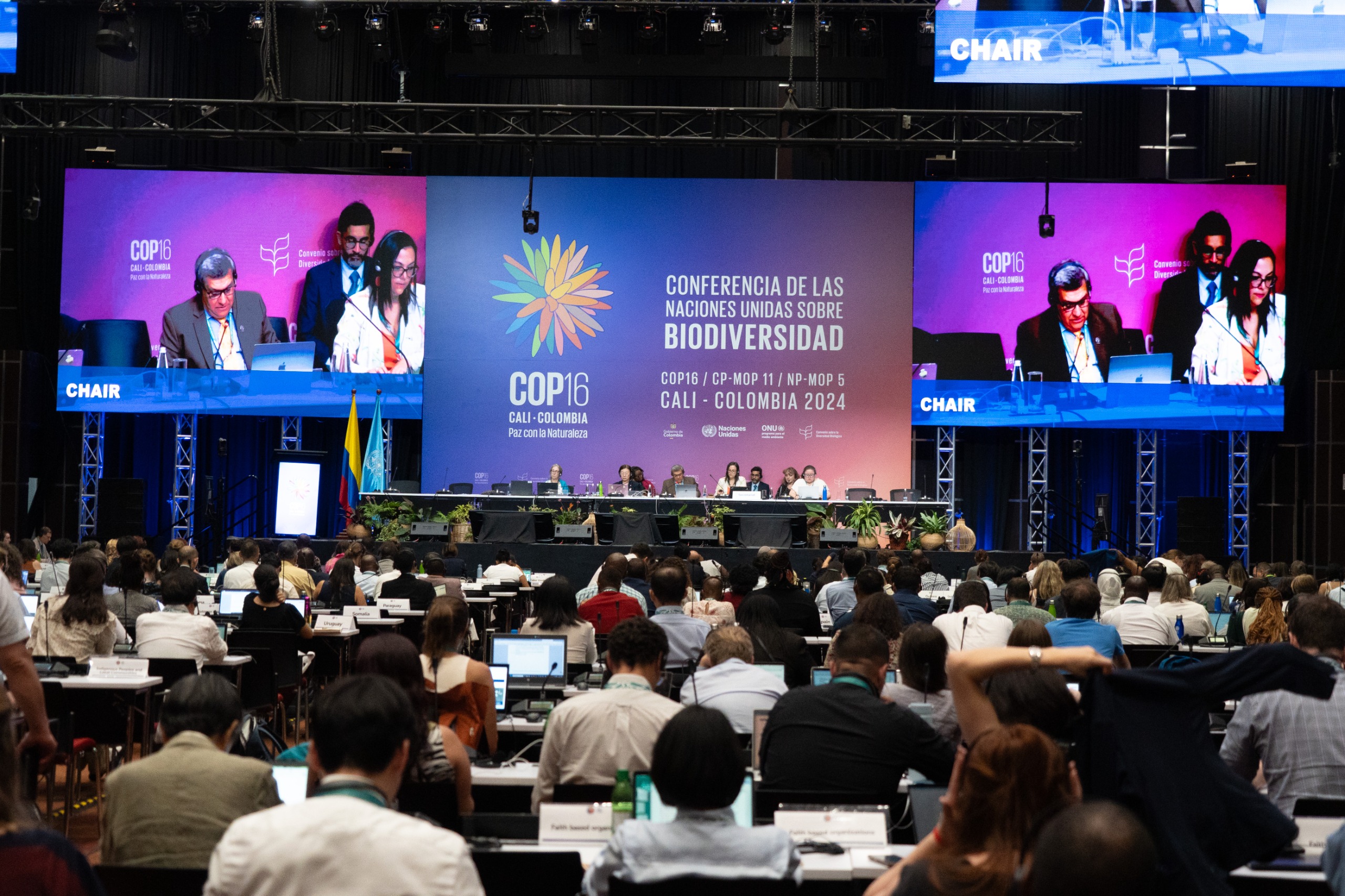 COP16: estas son las conclusiones que deja la cumbre que unió a ...