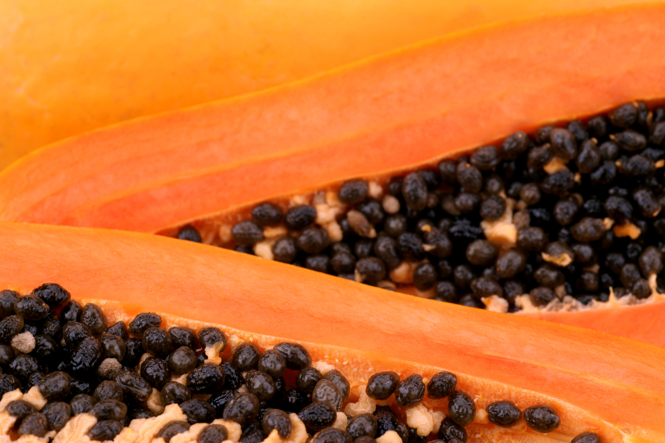 Expertos afirman que las 'pepas' de papaya se pueden comer y tienen ...