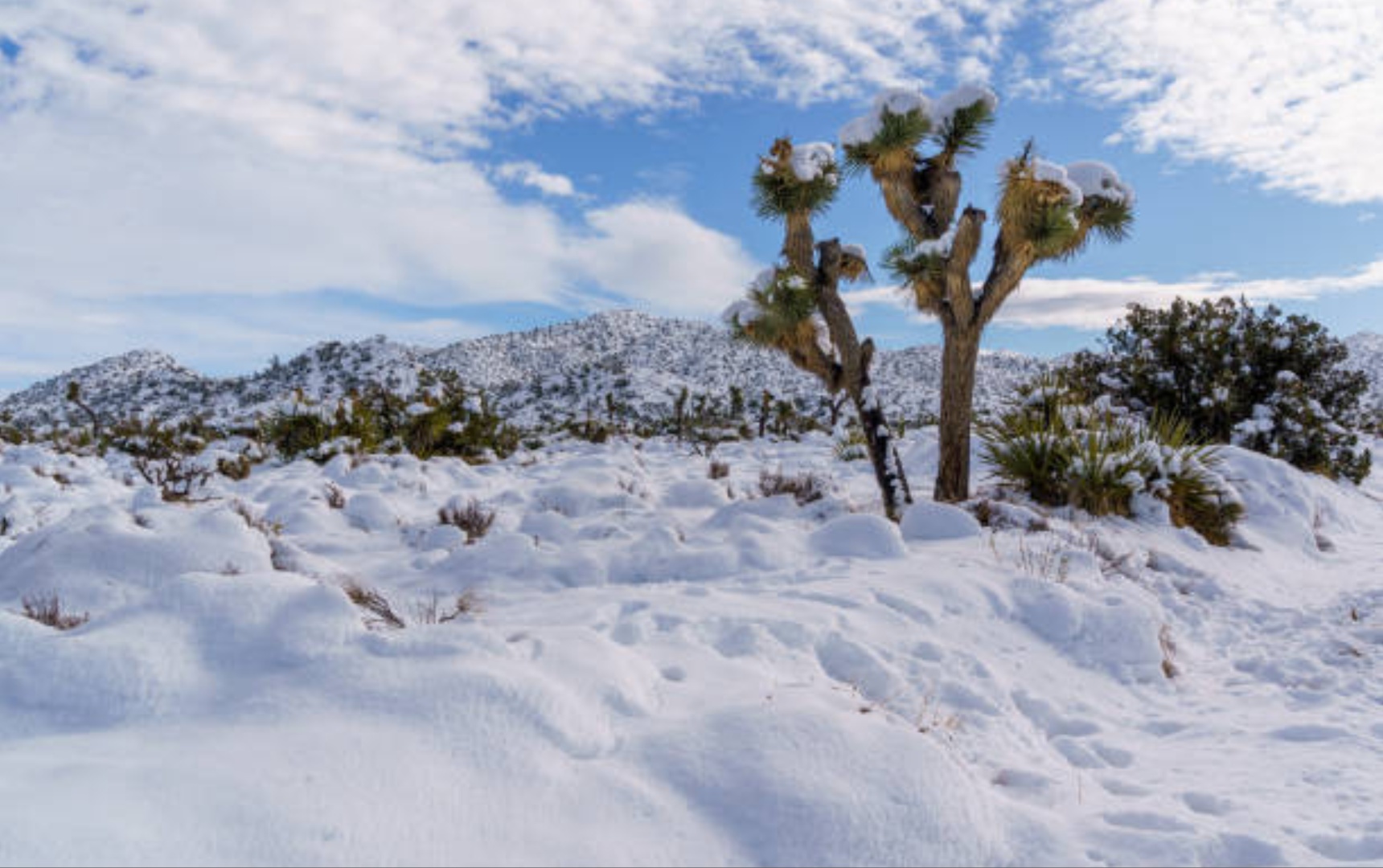 California: el mejor lugar del estado para hacer angelitos de nieve