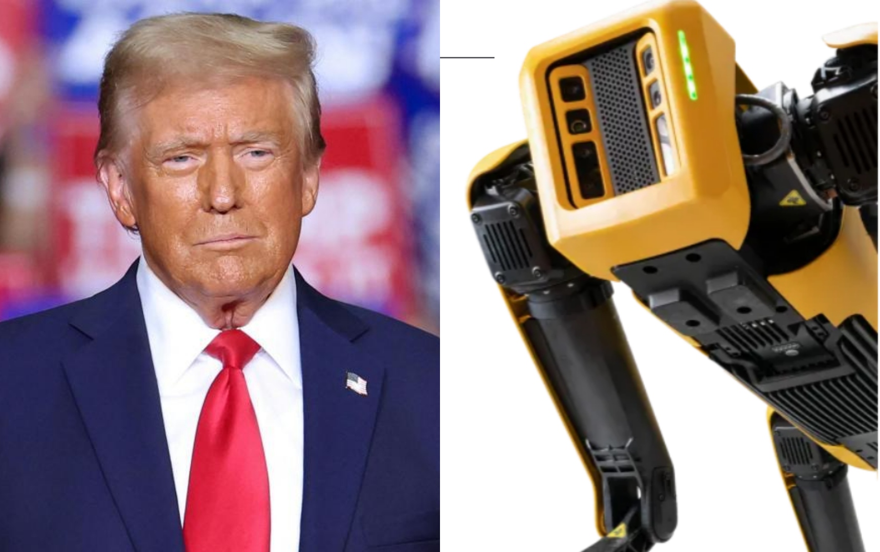 Donald Trump: así son los perros robots que colocó en una de sus ...