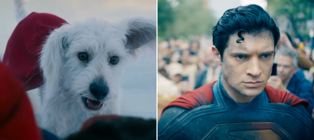 Nueva película de 'Superman': fecha de estreno, 'Krypto', el perro, y ...