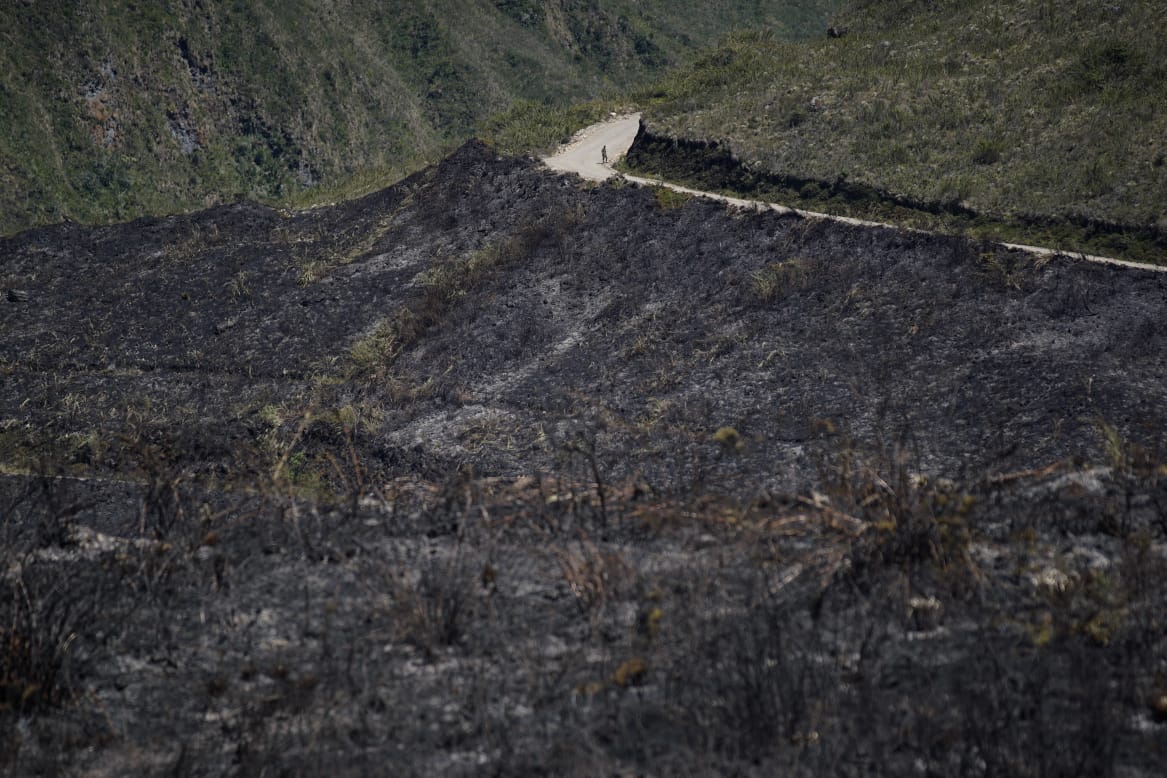 Imágenes y videos | Así quedó el Parque Nacional Natural Chingaza tras ...