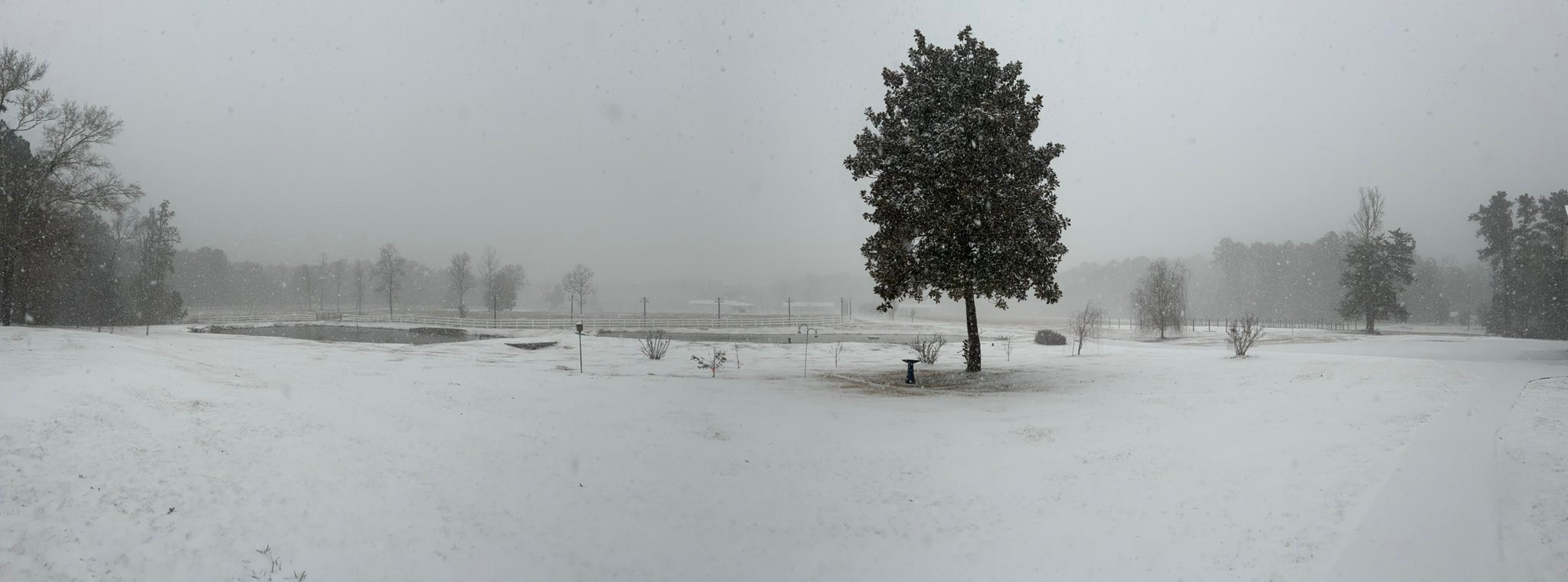 Cae nieve por primera vez en años en Florida: las imágenes más bonitas ...