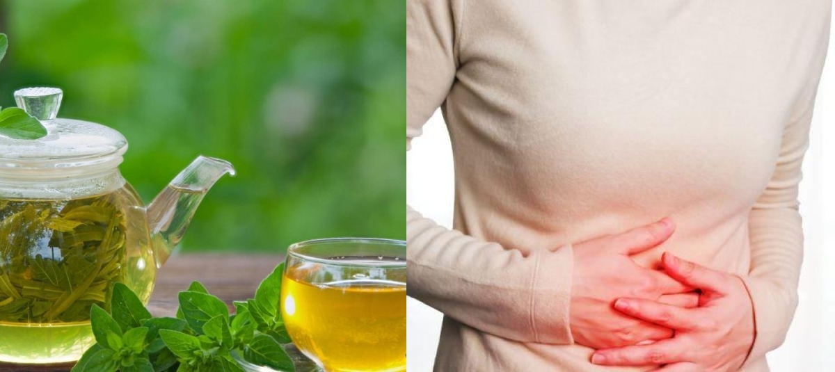 Remedios naturales para limpiar el estómago y los intestinos, alivia la ...