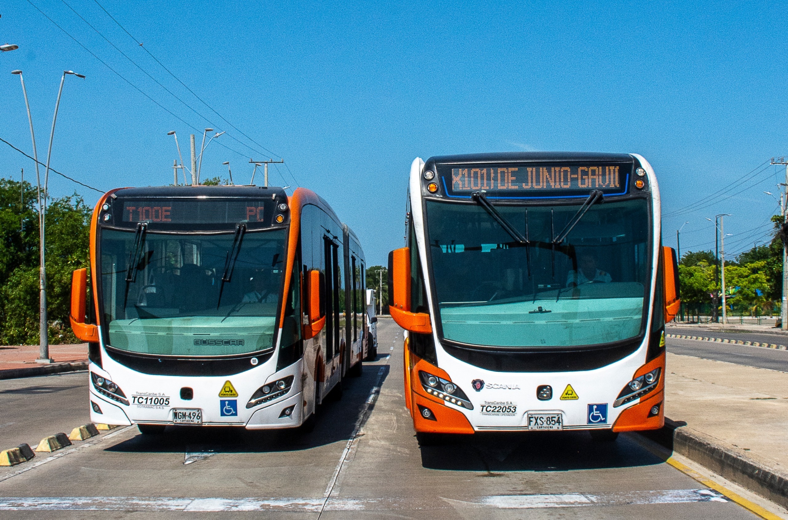 Cartagena: Transcaribe se renueva con 50 nuevos buses y otras mejoras ...