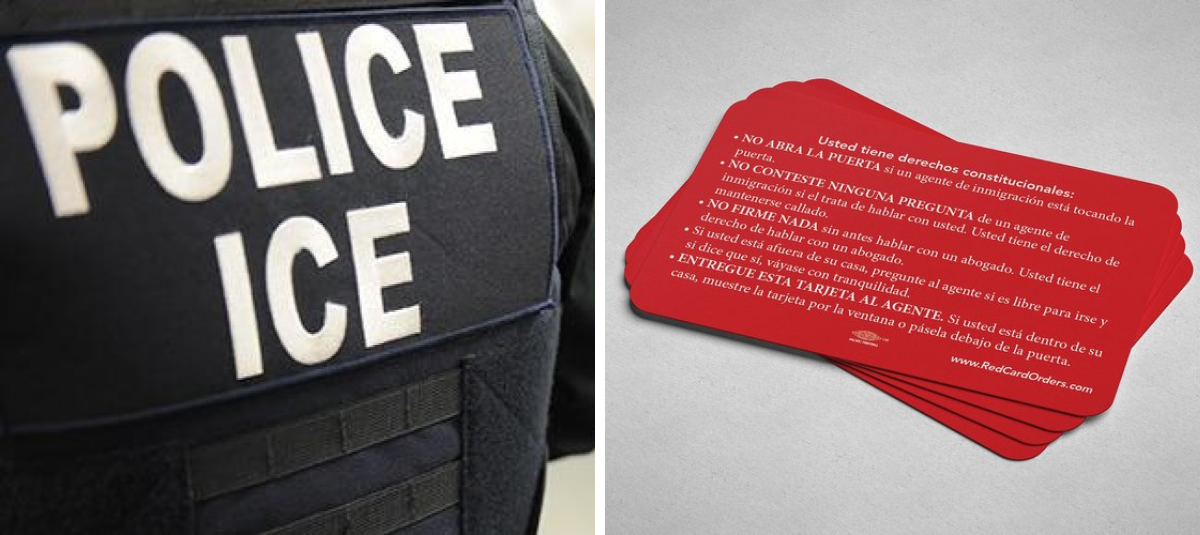 Tarjeta roja: los derechos que todo inmigrante en Estados Unidos tiene ...