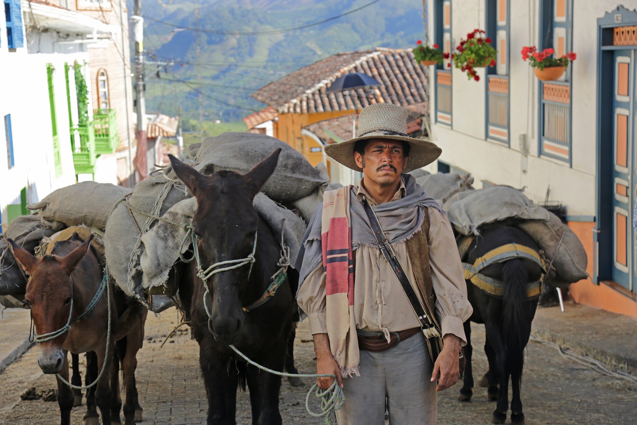 ‘Cosiaca’, la serie de un loco que marcó a la cultura antioqueña, se ...