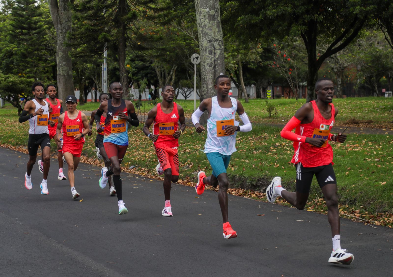 ¿Quiénes fueron los mejores colombianos en la rama masculina y femenina ...