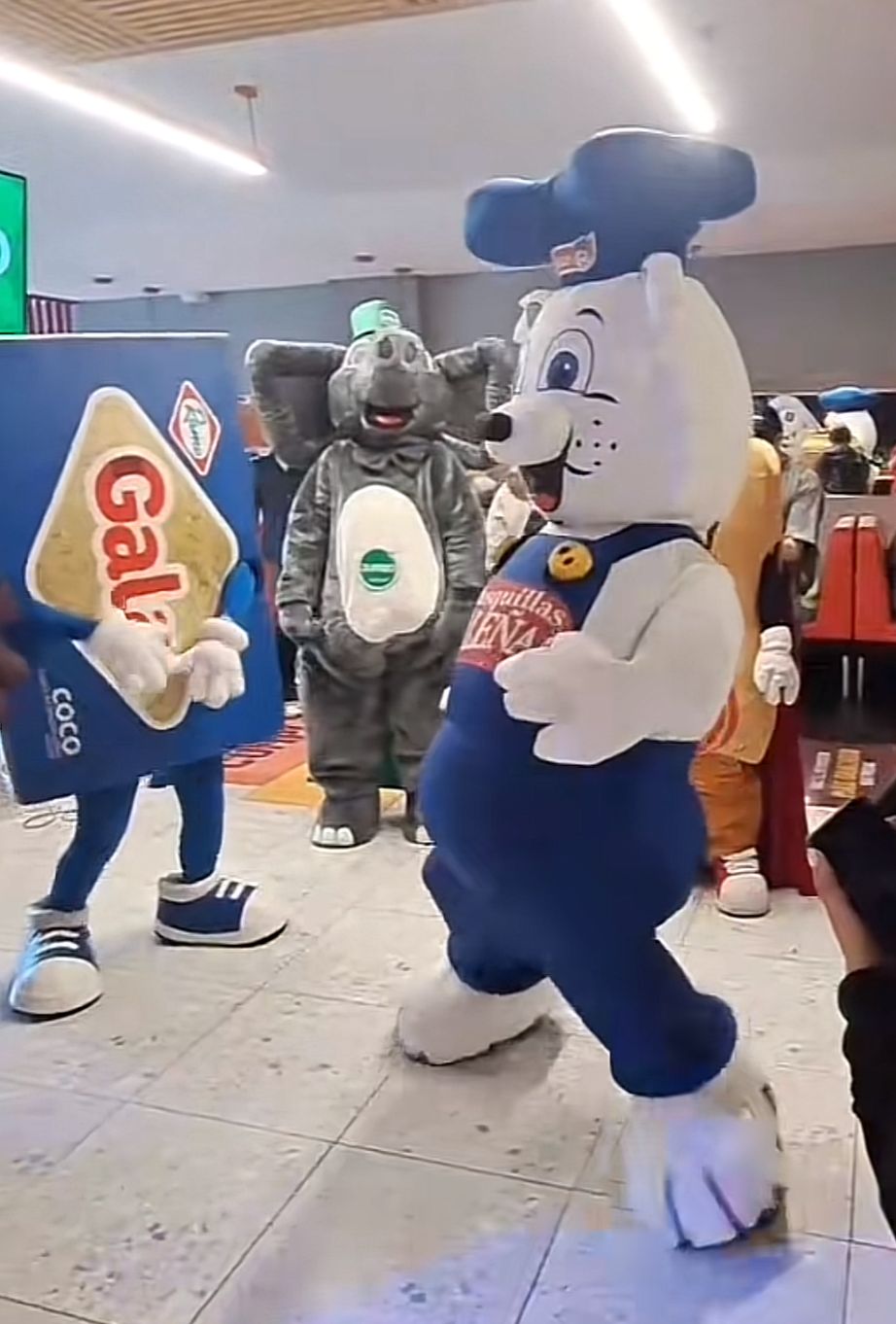 El Pollo Frisby cumplió años y celebró con todas las mascotas de marcas ...